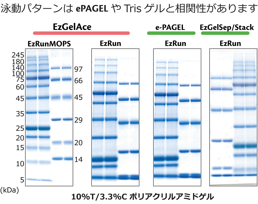 WSE-7065 EzRun MOPS | 泳動バッファー | 電気泳動試薬 | 電気泳動 | プロダクト | アトー株式会社