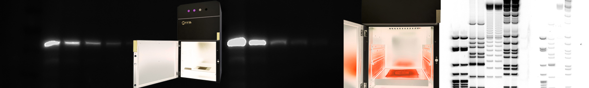 ATTO 60周年感謝祭 60周年記念製品のご案内 | 2025年 | What's New | アトー株式会社
