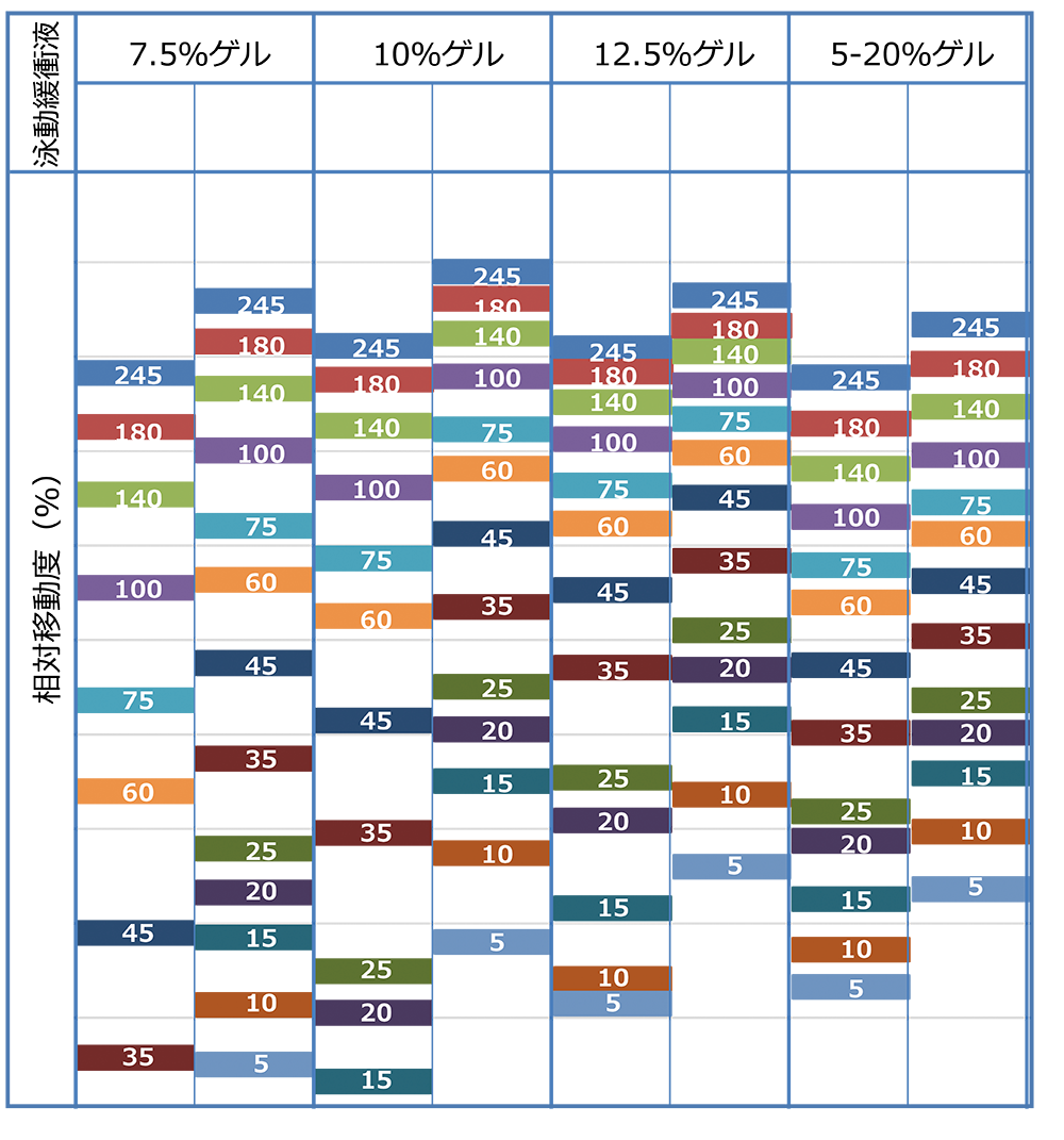 WSE-7065 EzRun MOPS | 泳動バッファー | 電気泳動試薬 | 電気泳動 | プロダクト | アトー株式会社